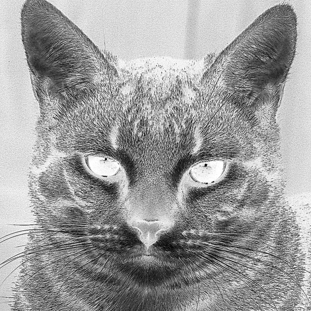 Engraving Black Granite tile - Made on a Glowforge - Glowforge Owners Forum