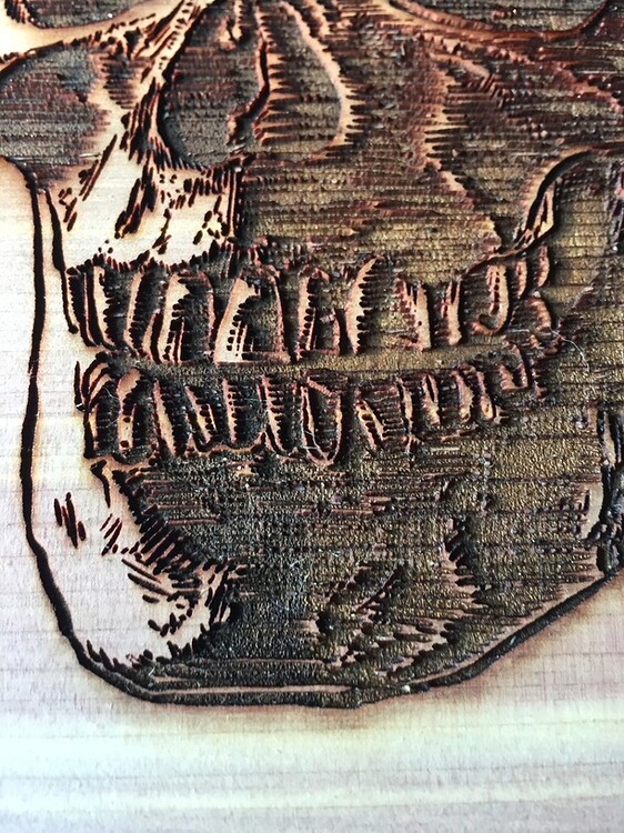 Etched plywood illustrations - Made on a Glowforge - Glowforge Owners Forum