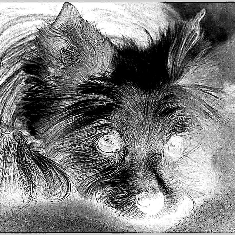 Engraving Black Granite tile - Made on a Glowforge - Glowforge Owners Forum