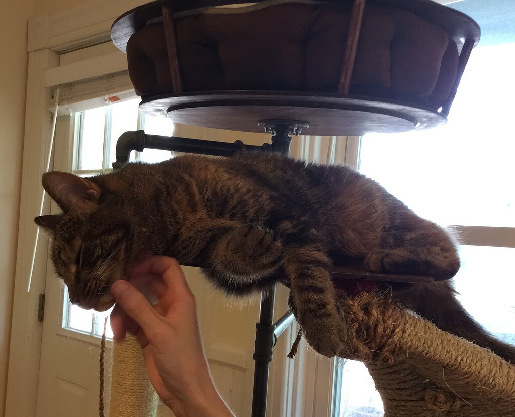 Cat Tower Safety Railing - Made on a Glowforge - Glowforge Owners Forum