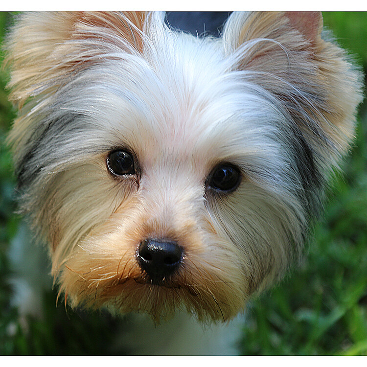 Engraving Black Granite tile - Made on a Glowforge - Glowforge Owners Forum