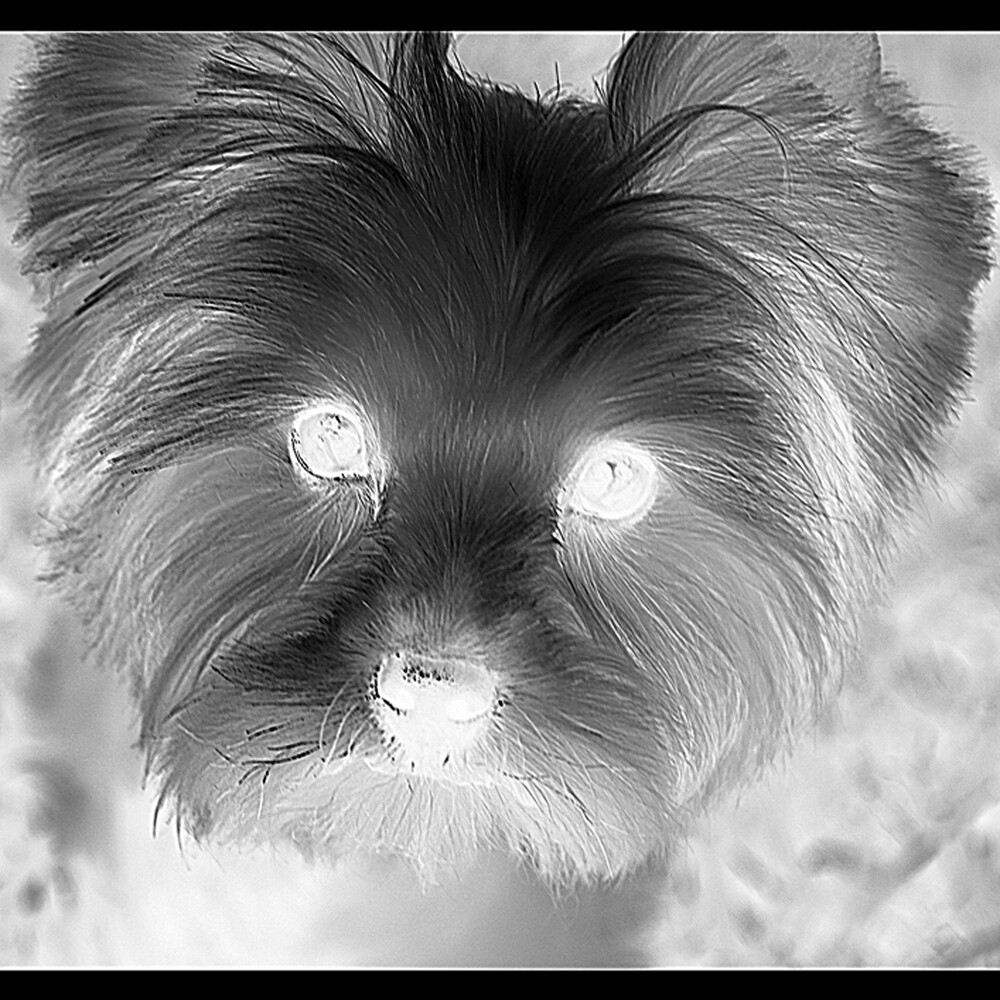 Engraving Black Granite tile - Made on a Glowforge - Glowforge Owners Forum